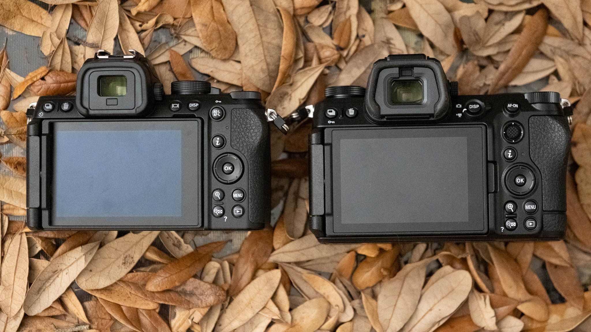 Nikon Z50 II Review | The Most Professional Beginner Camera?