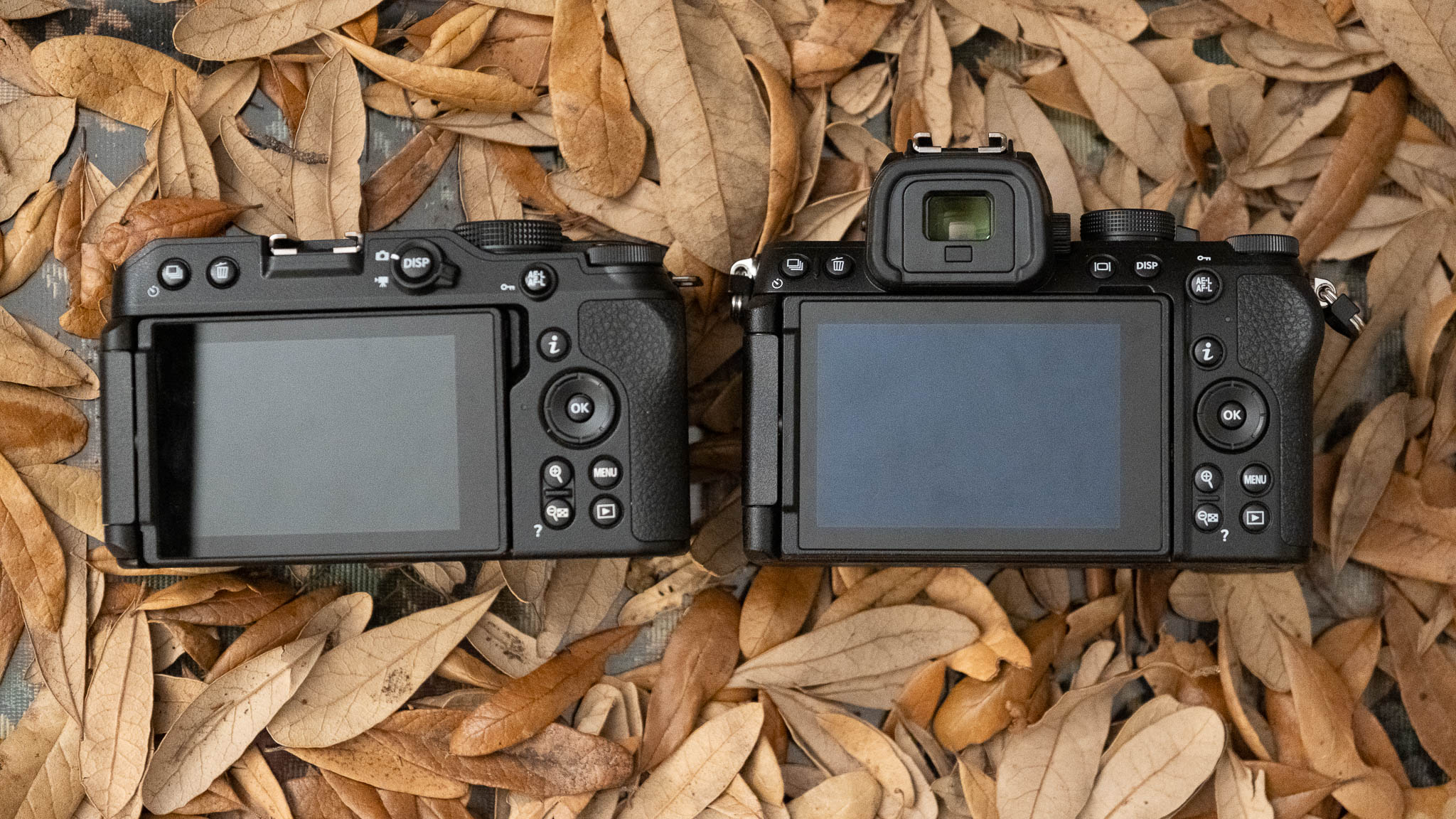 Nikon Z50 II Review | The Most Professional Beginner Camera?